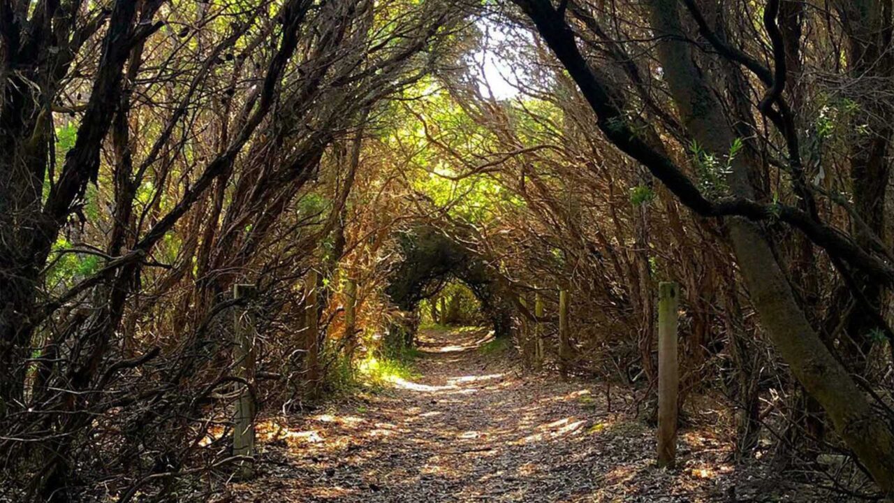 Submit Your Cape Paterson Photos | Visit Cape Paterson
